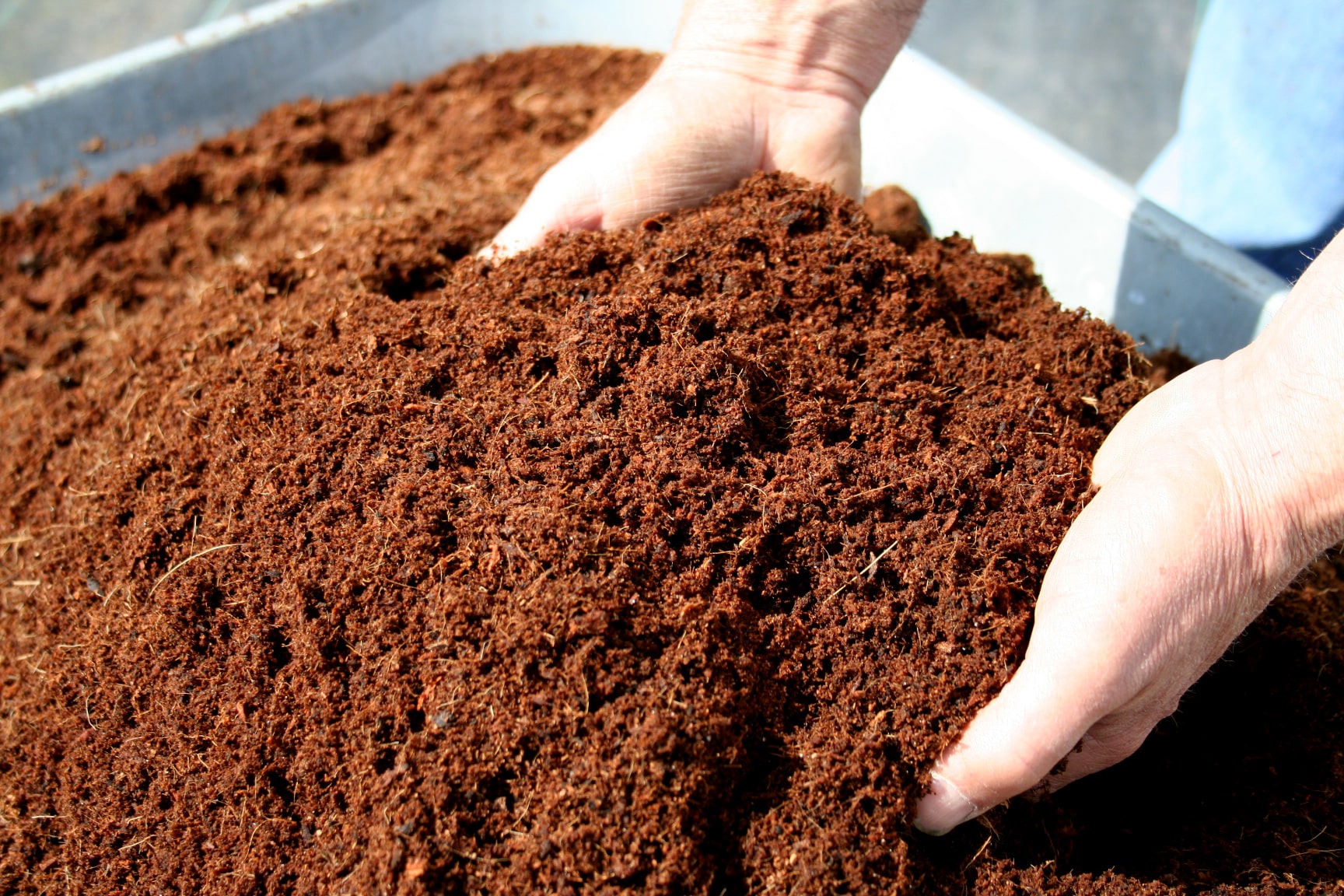 Protekta | Detalle del producto