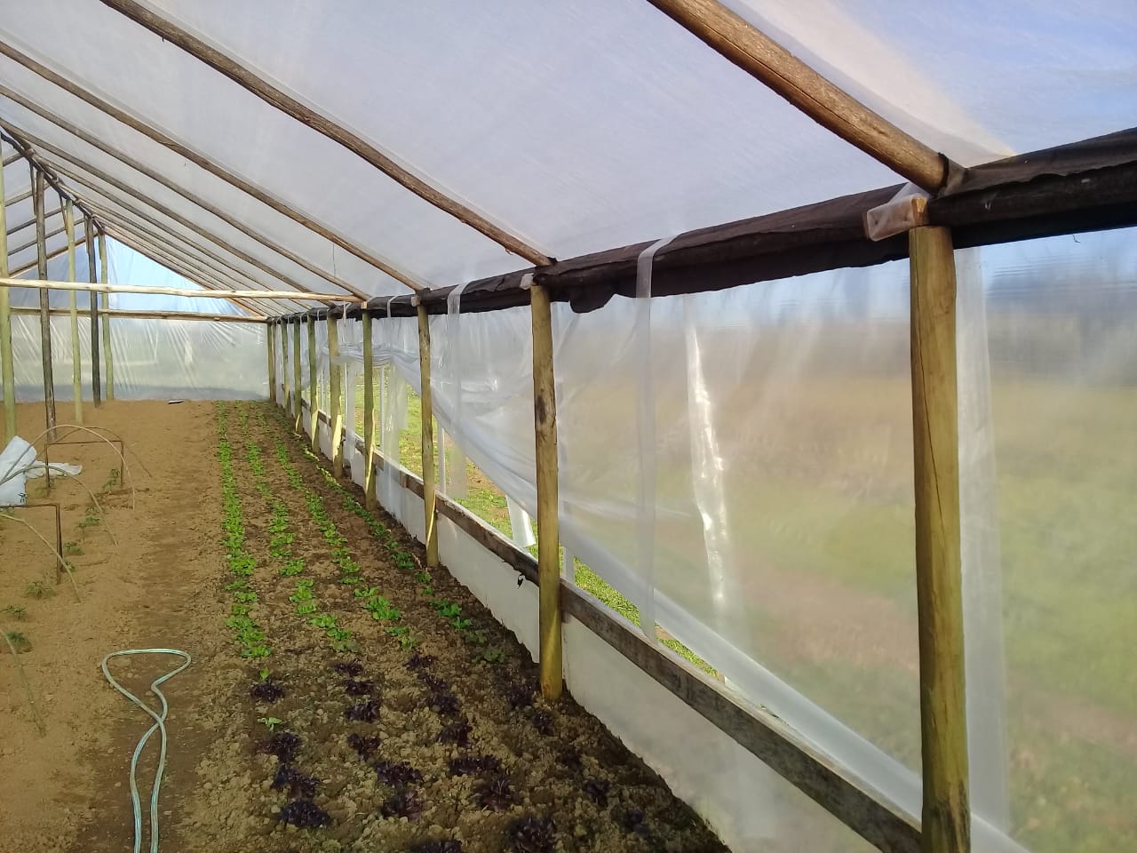 Protekta | Productos